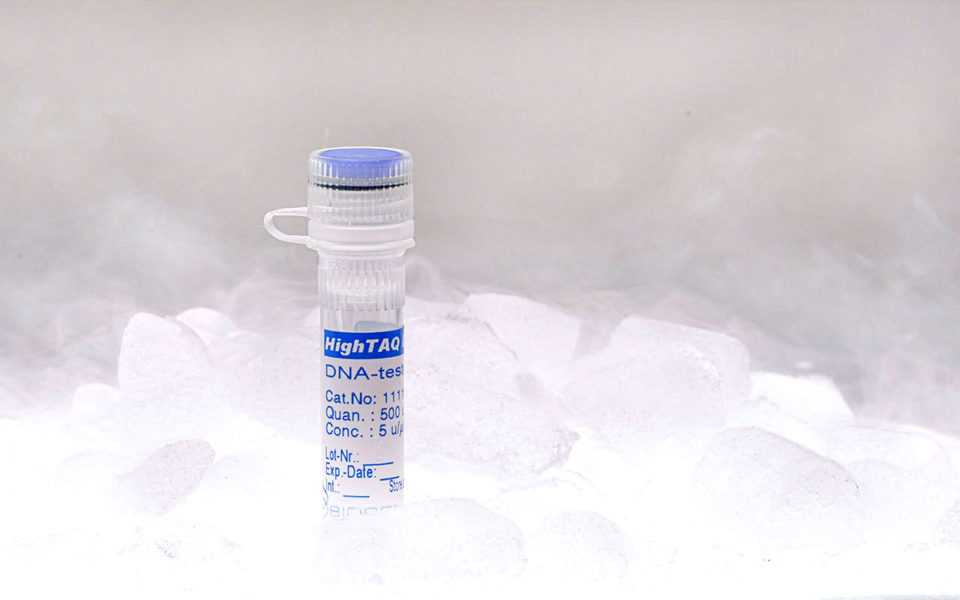 Polymerases – BIORON GmbH