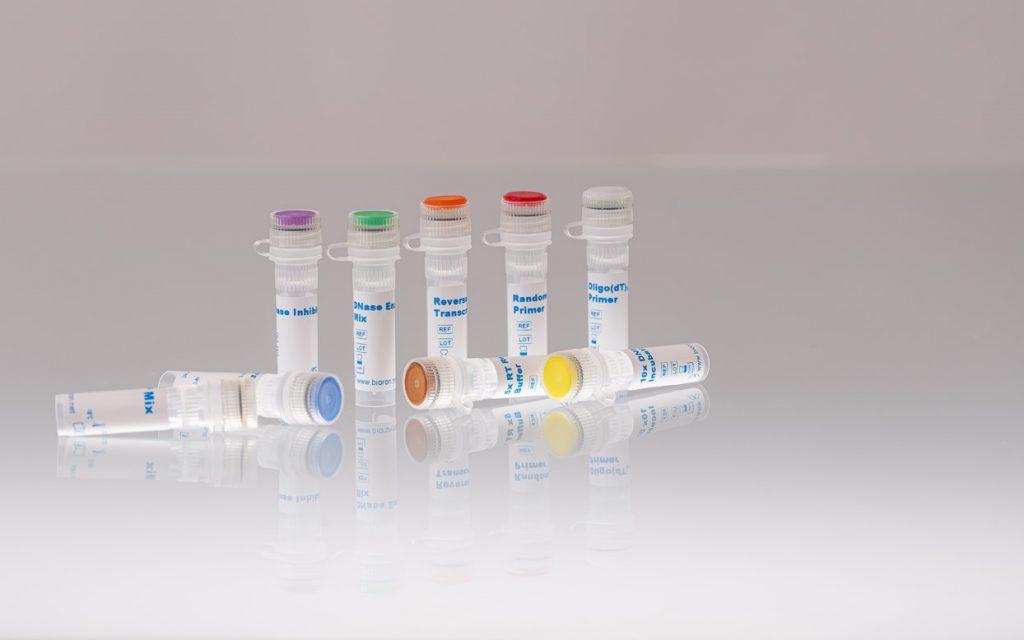 Ultimate cDNA Synthesis Kit – BIORON GmbH