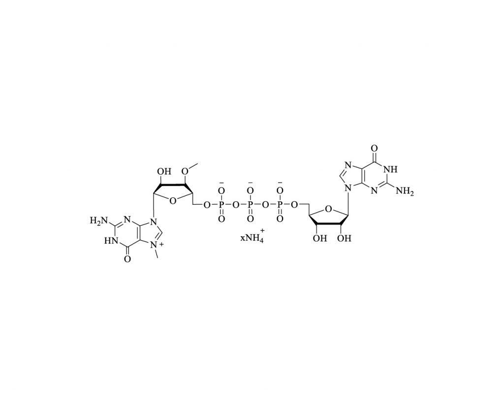 CAP ARCA – BIORON GmbH