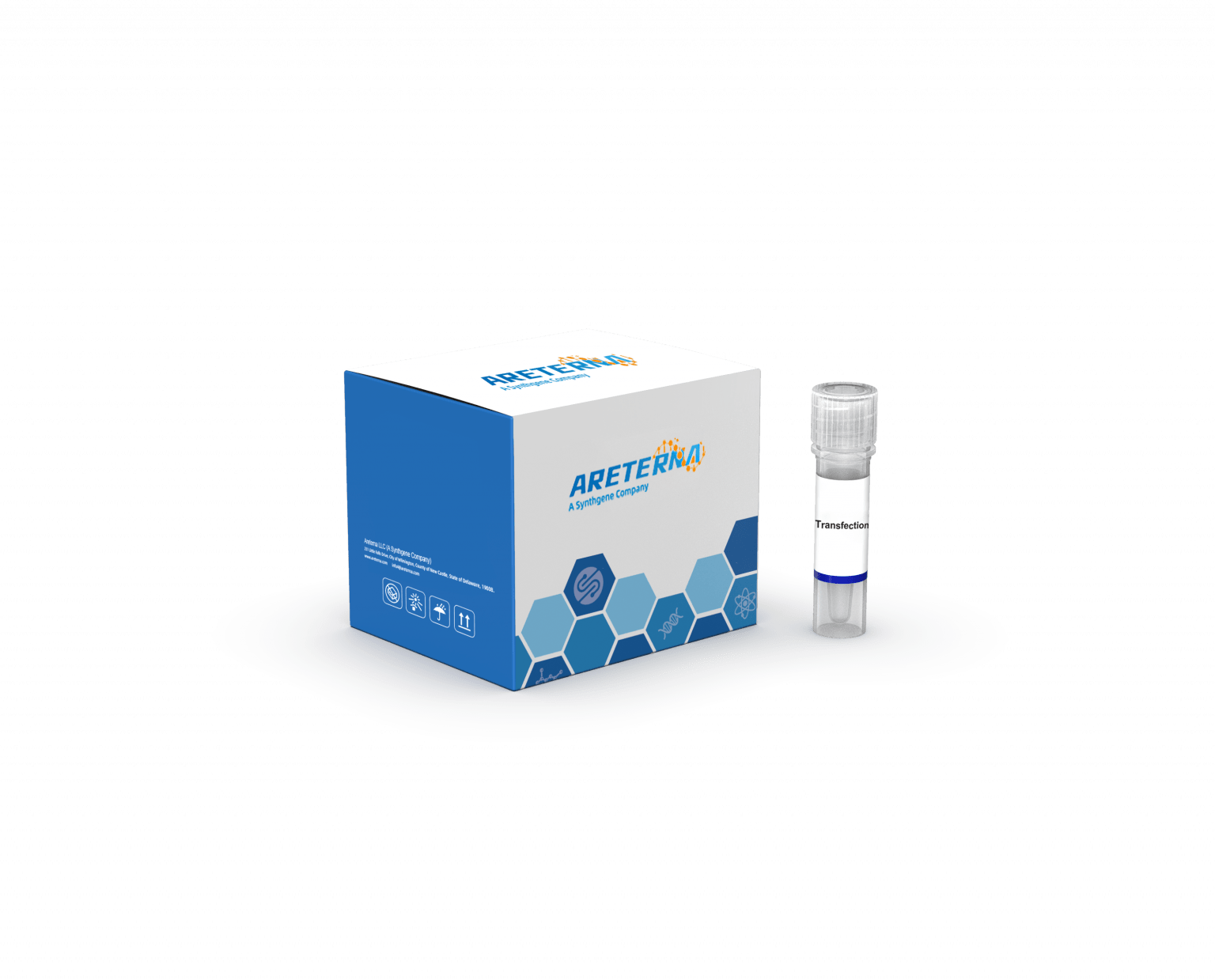 Easy Cell Transfection Kit – BIORON GmbH