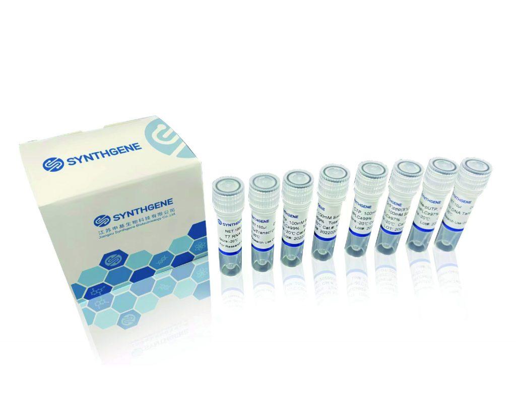 T7 Co-transcription Kit – BIORON GmbH